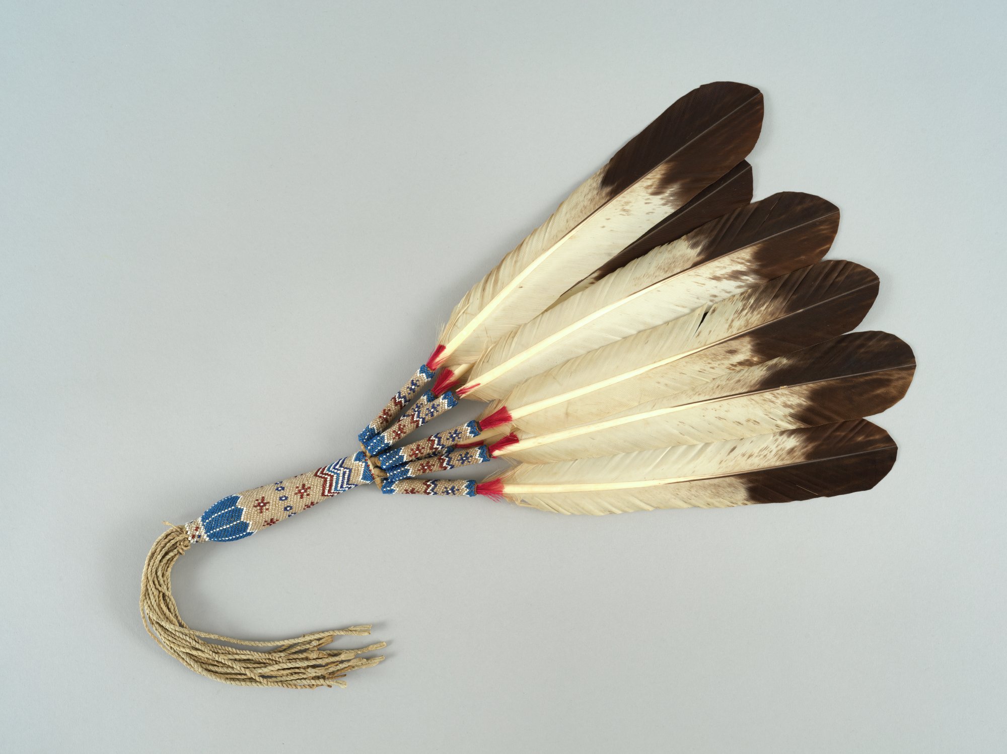 Indian Eagle Feather