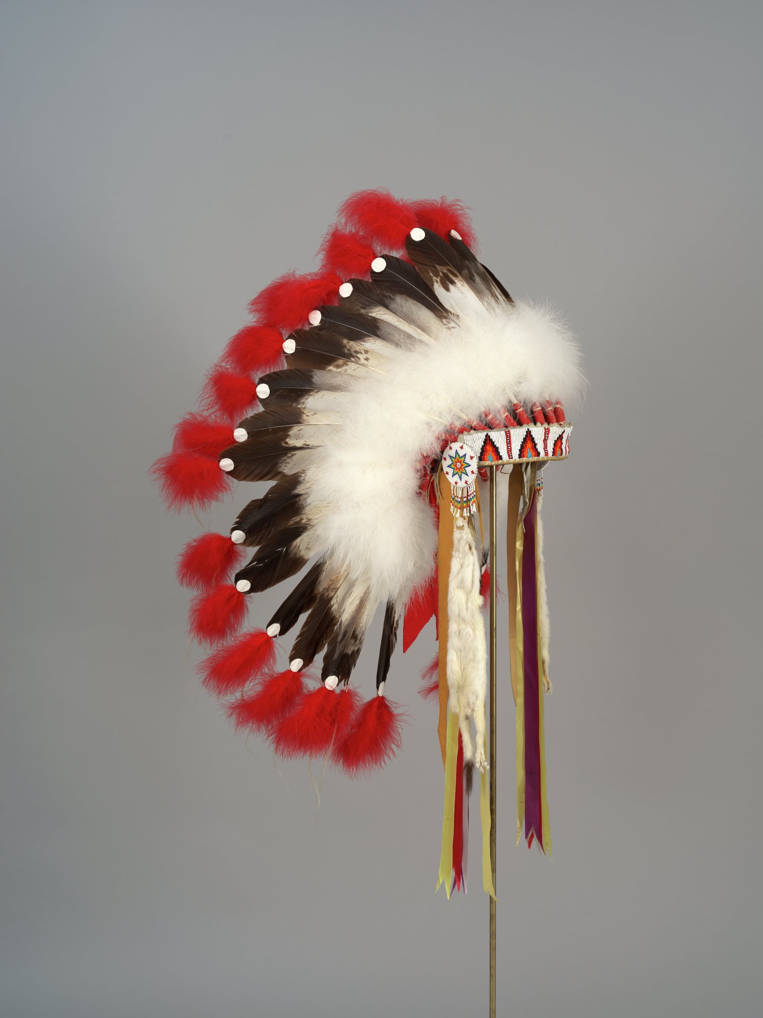 Native American Eagle Feathers